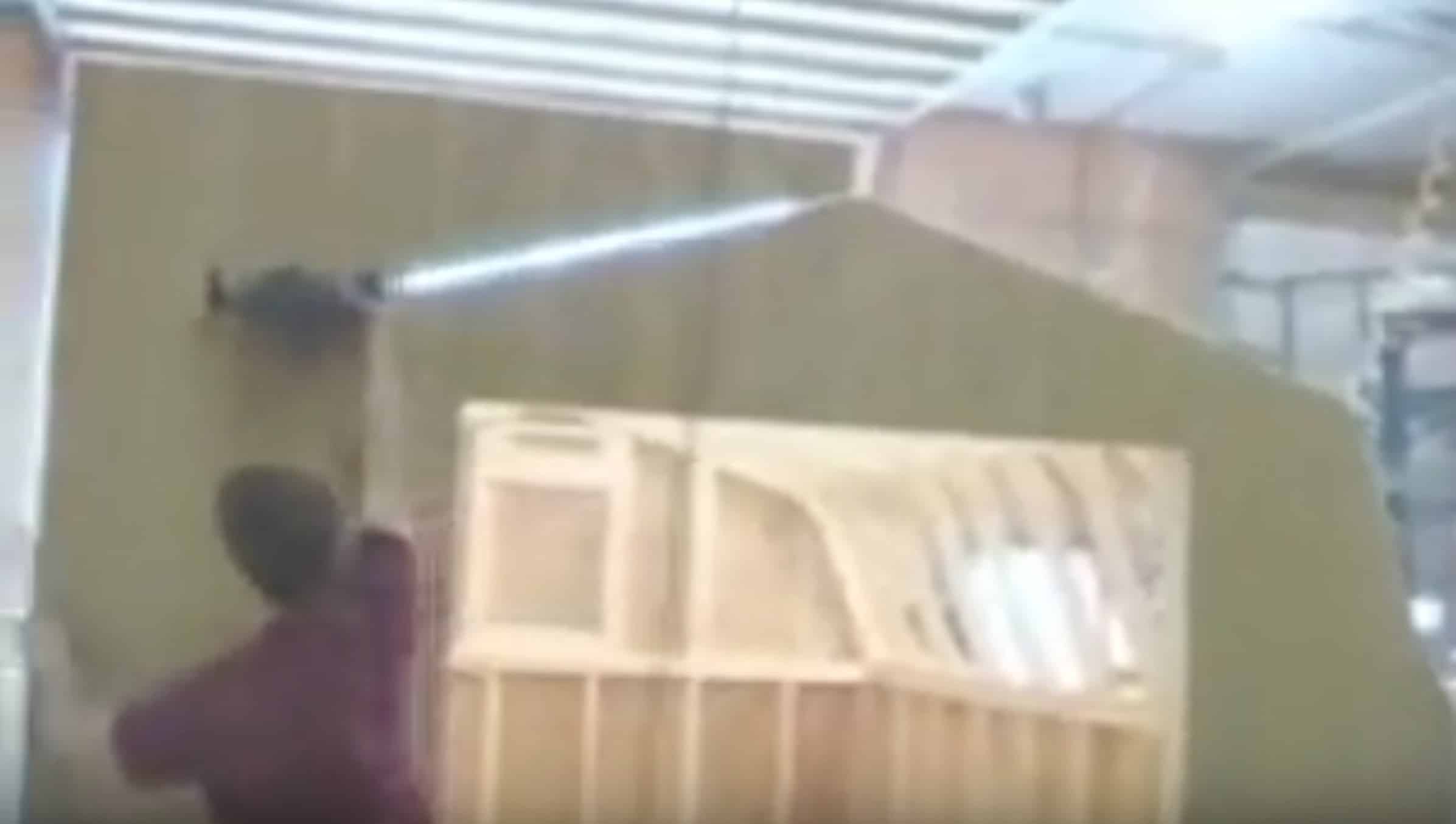 Just How Fast Can a Pro Build a Shed? - Shed Business Journal